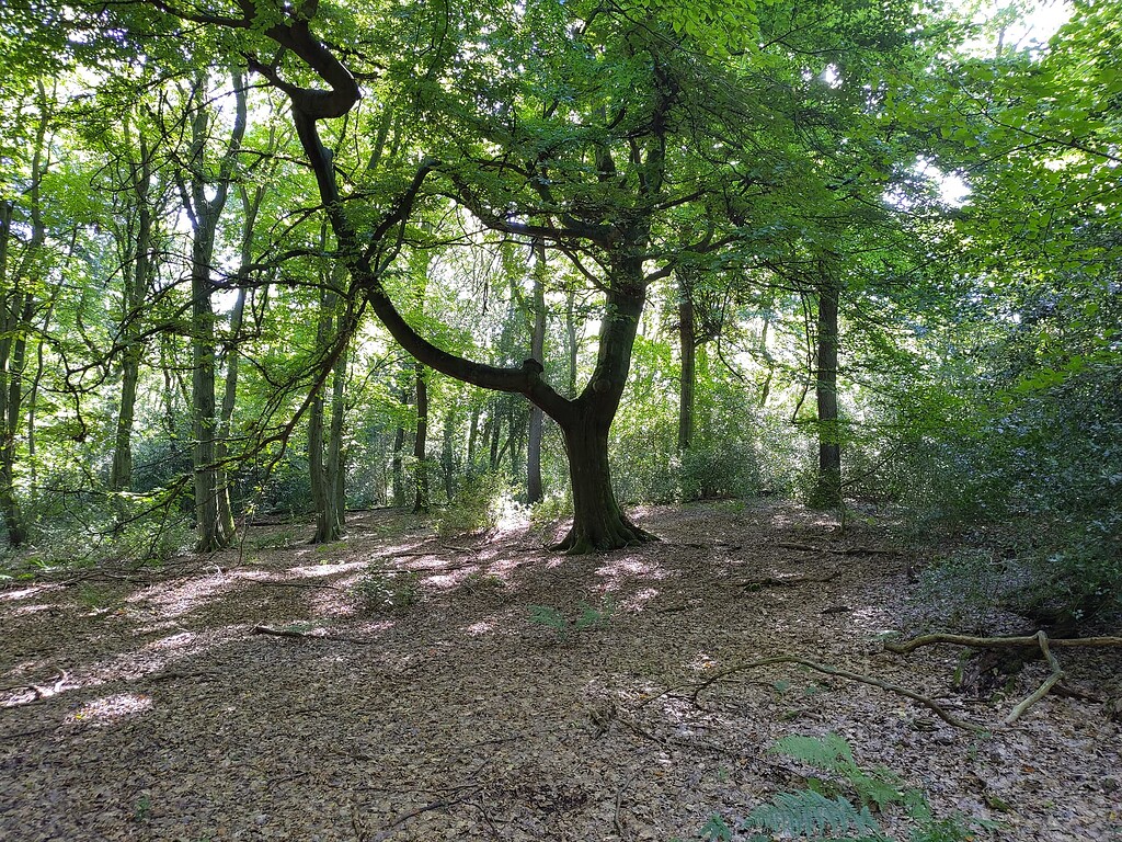 FP5 - Pictures Gallery - The Products - Fairphone Community Forum